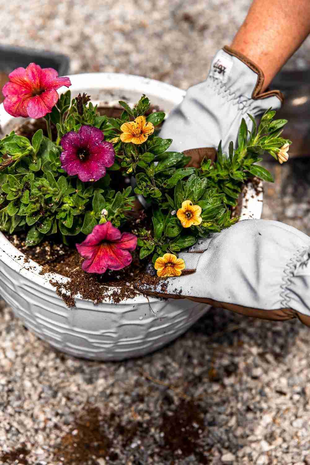 How to Bring Your Dead Planters Back to Life - KJ and Company