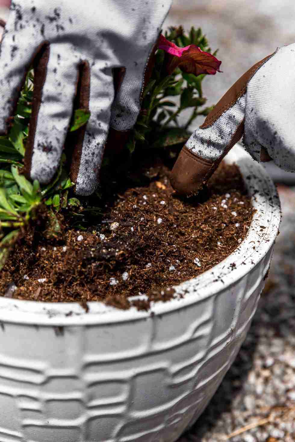 How to Bring Your Dead Planters Back to Life - KJ and Company