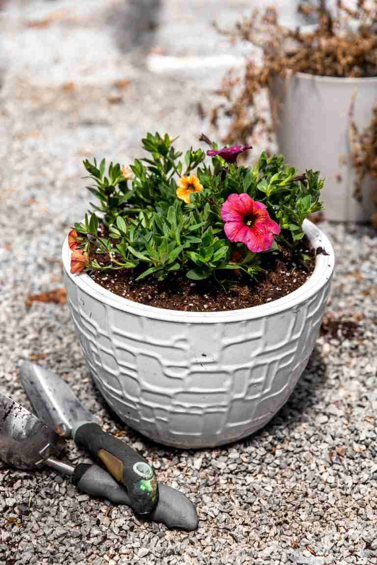 How to Bring Your Dead Planters Back to Life - KJ and Company