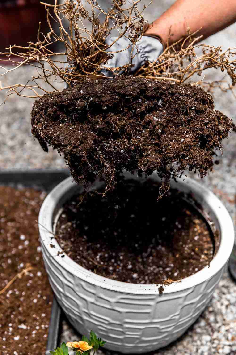 How to Bring Your Dead Planters Back to Life - KJ and Company