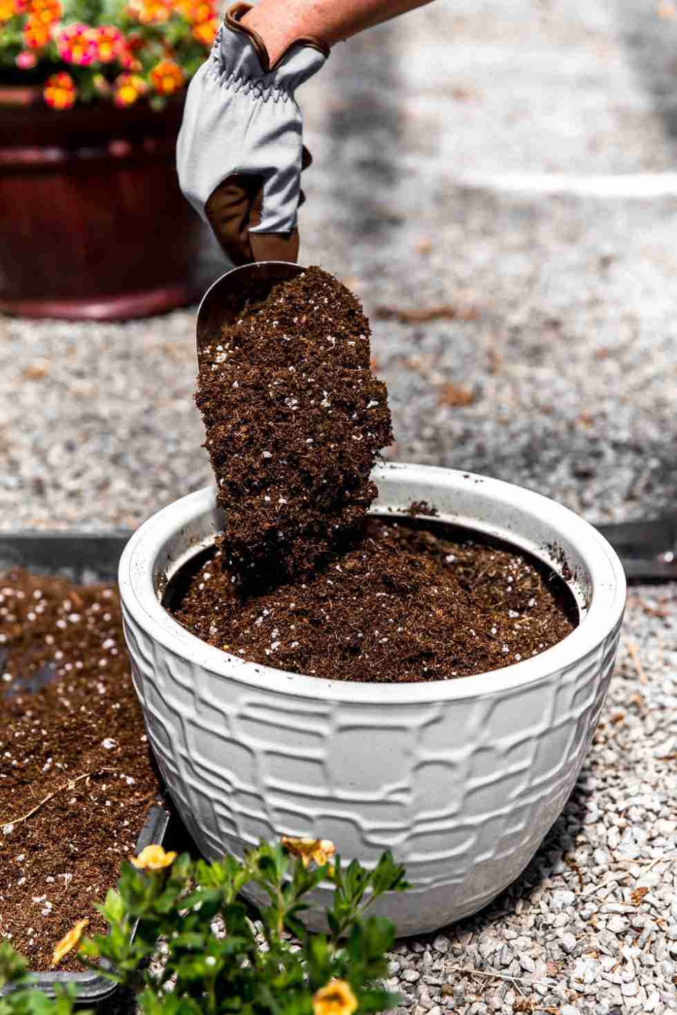 How to Bring Your Dead Planters Back to Life - KJ and Company