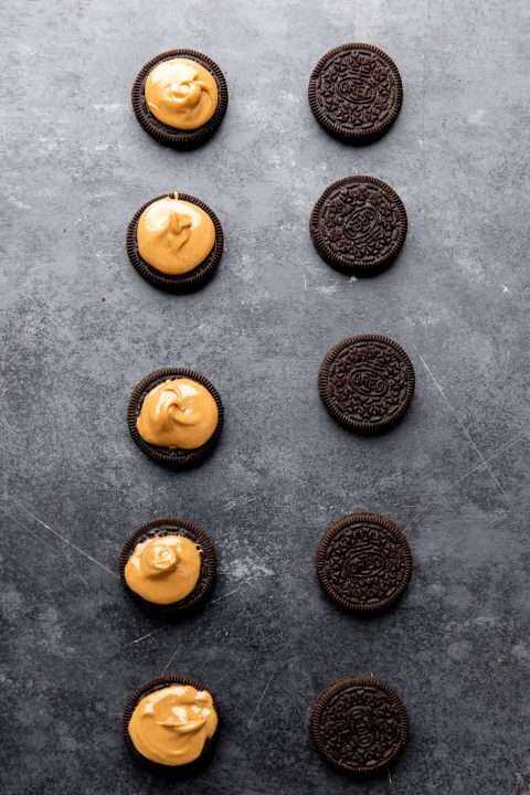 Reindeer Poop - KJ and Company