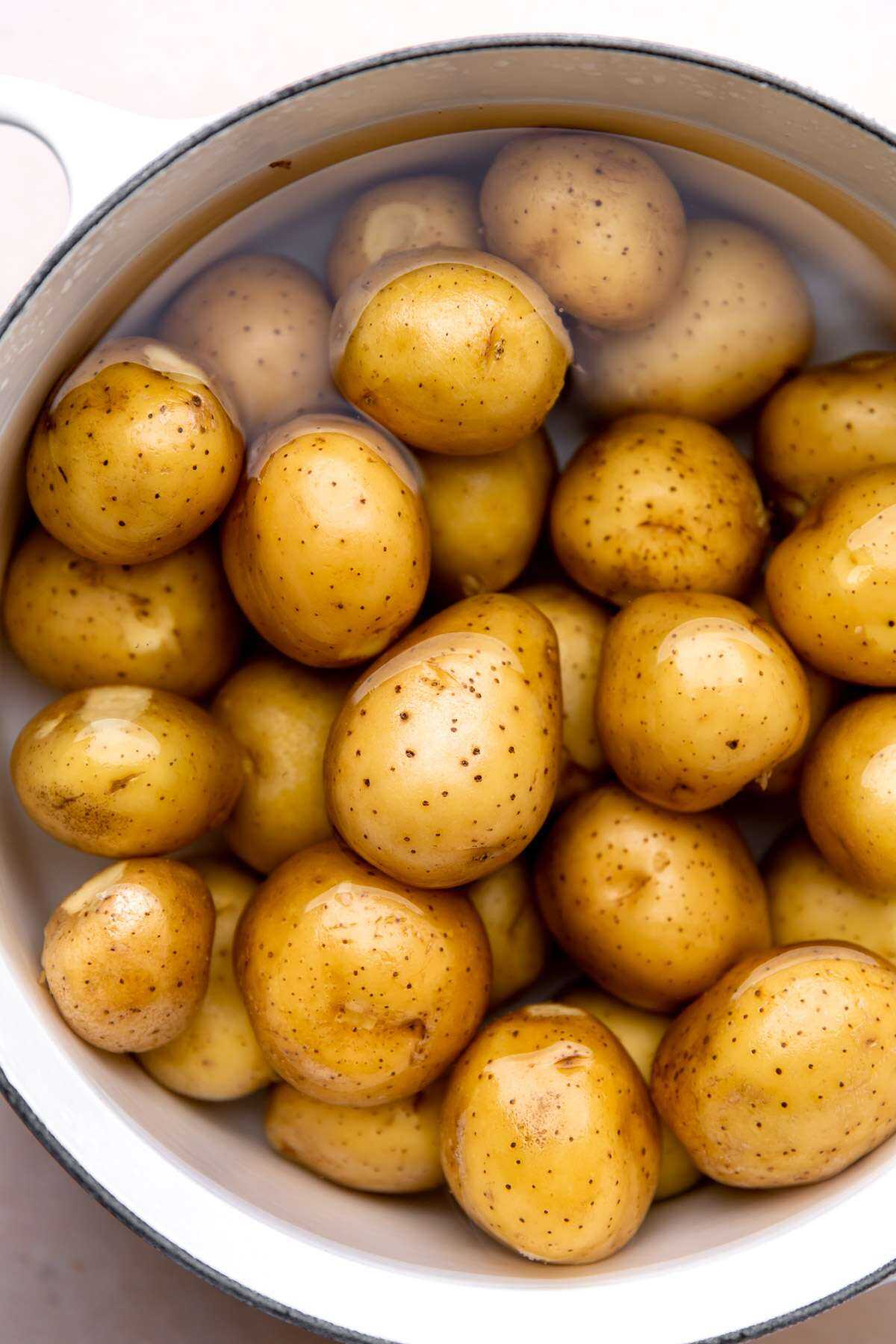 Classic Potato Salad - KJ and Company